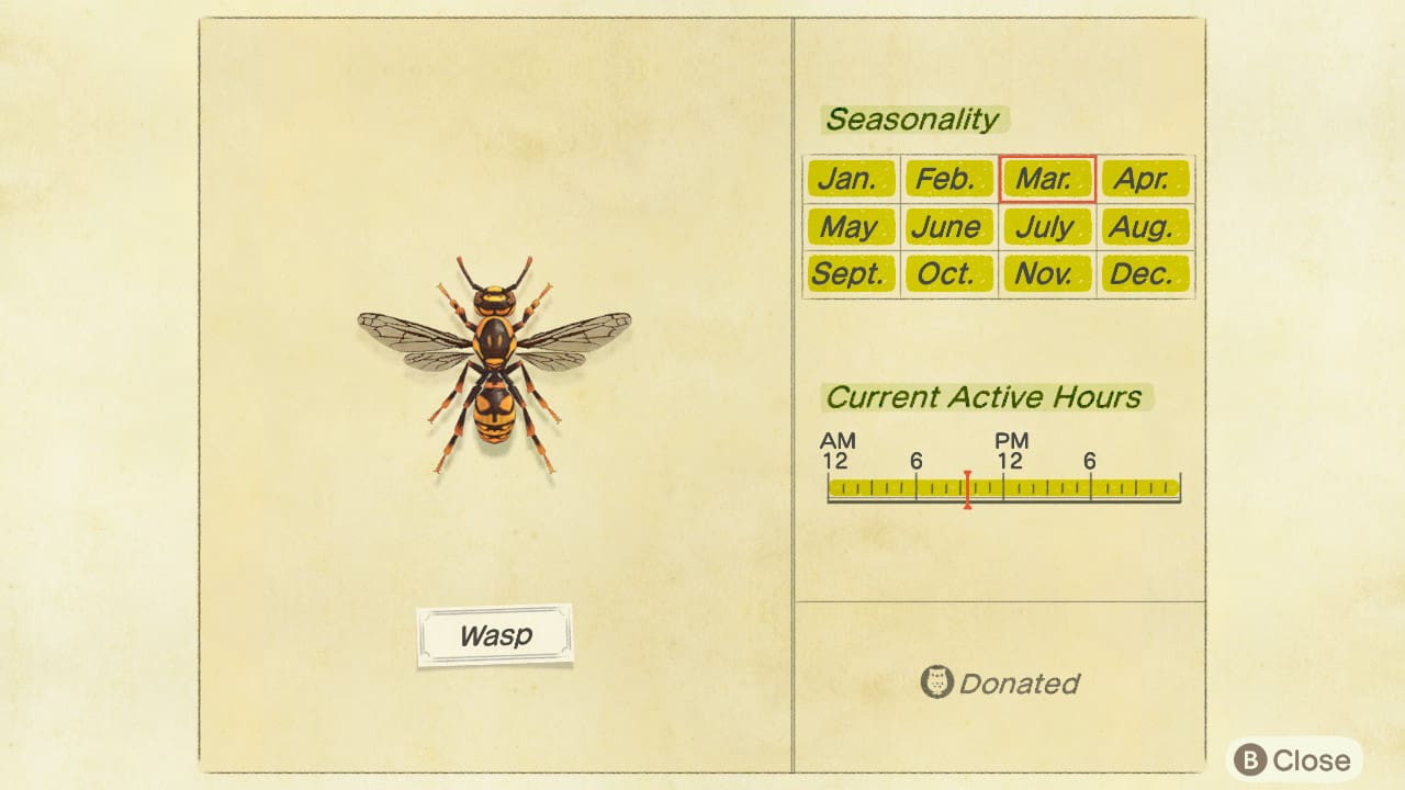 All Bugs in ACNH Animal Crossing New Horizons - GameFoxes