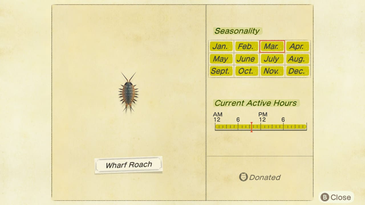 All Bugs in ACNH Animal Crossing New Horizons - GameFoxes